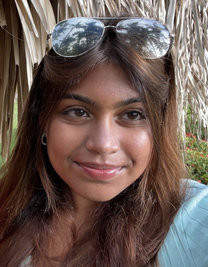 A Closer Look at the AP Artwork of Saamiya Sugrim - Long Island High ...